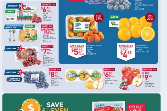 23 July 2024 Onward: Haidilao Singapore: Introducing HiCoco Mango ...