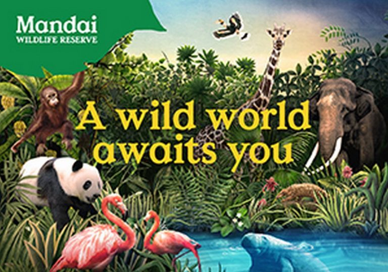 1 June 2025–31 March 2026: Mandai Wildlife Reserve, Up to 30% Off ...