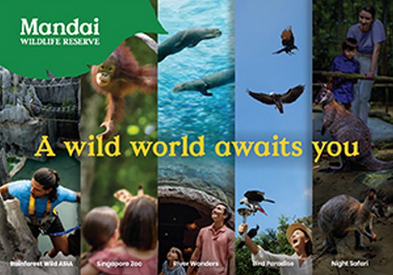 Now till 31 March 2026: Mandai Wildlife Reserve, Up to 30% Off ...